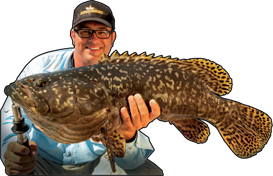 Mark Berg – Minn Kota